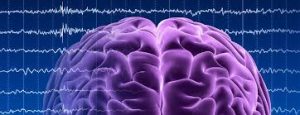How Much Does an EEG Machine Cost in 2025?